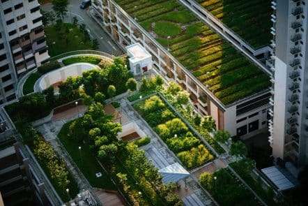 What Is Eco Brutalism? Is It the Beginning or the End of Sustainable ...