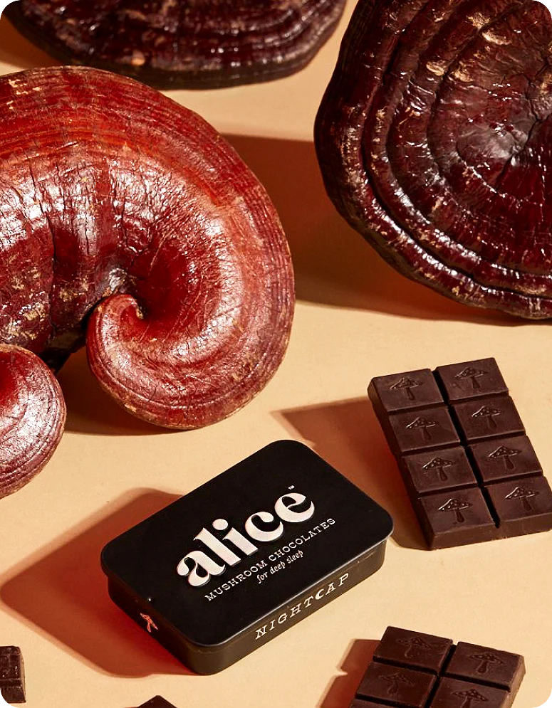 The New Class of Functional Mushroom Chocolate - Ethos